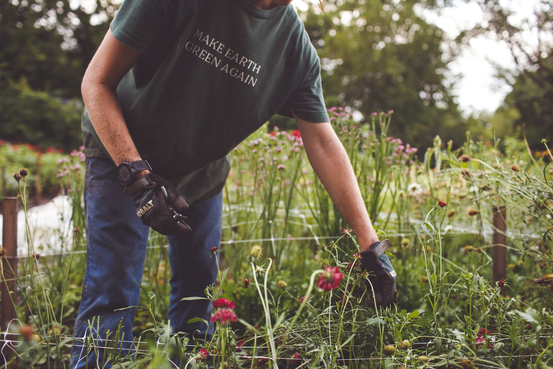 Wild Prairie Flower Farm